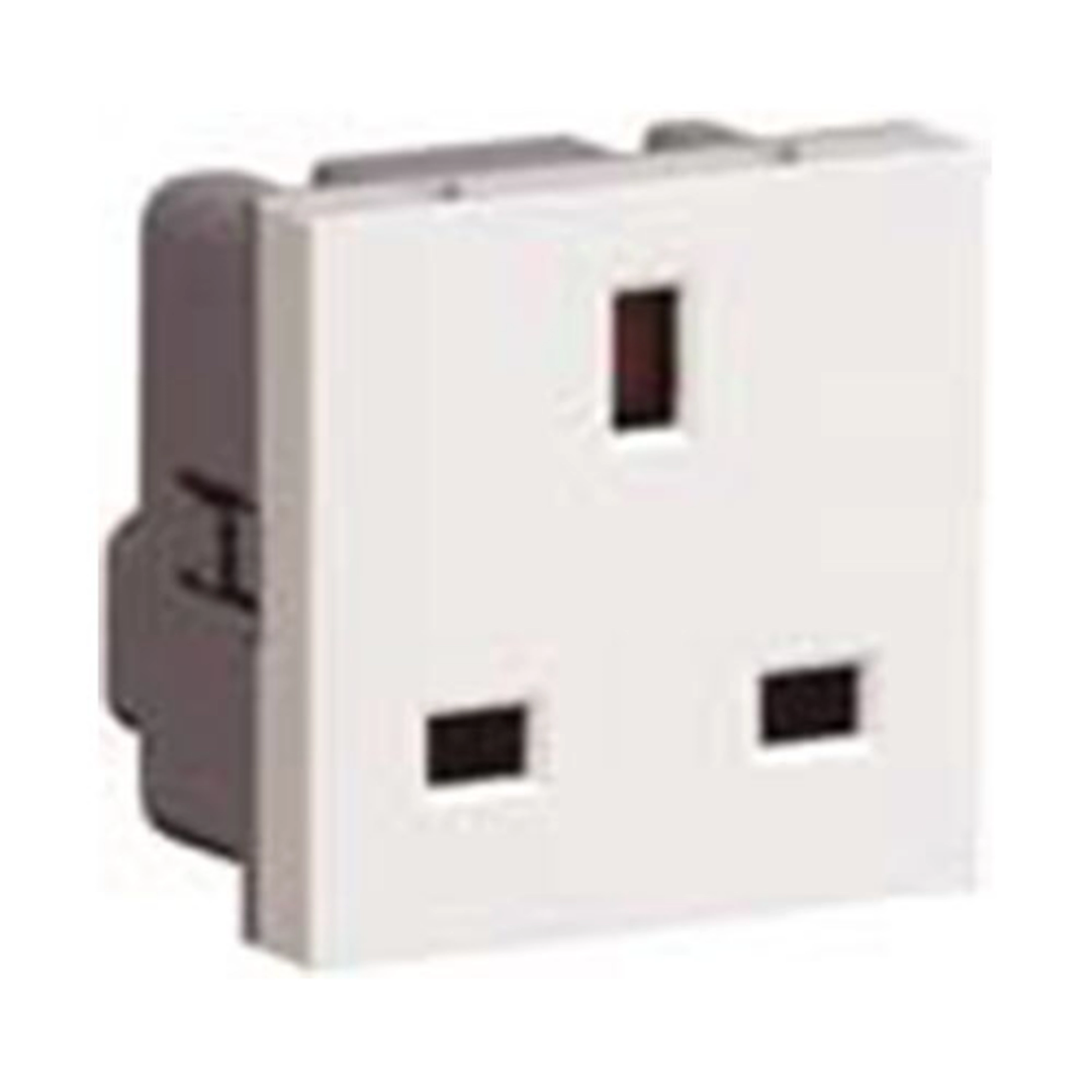 13A BS SOCKET • WGSM113 | Hager