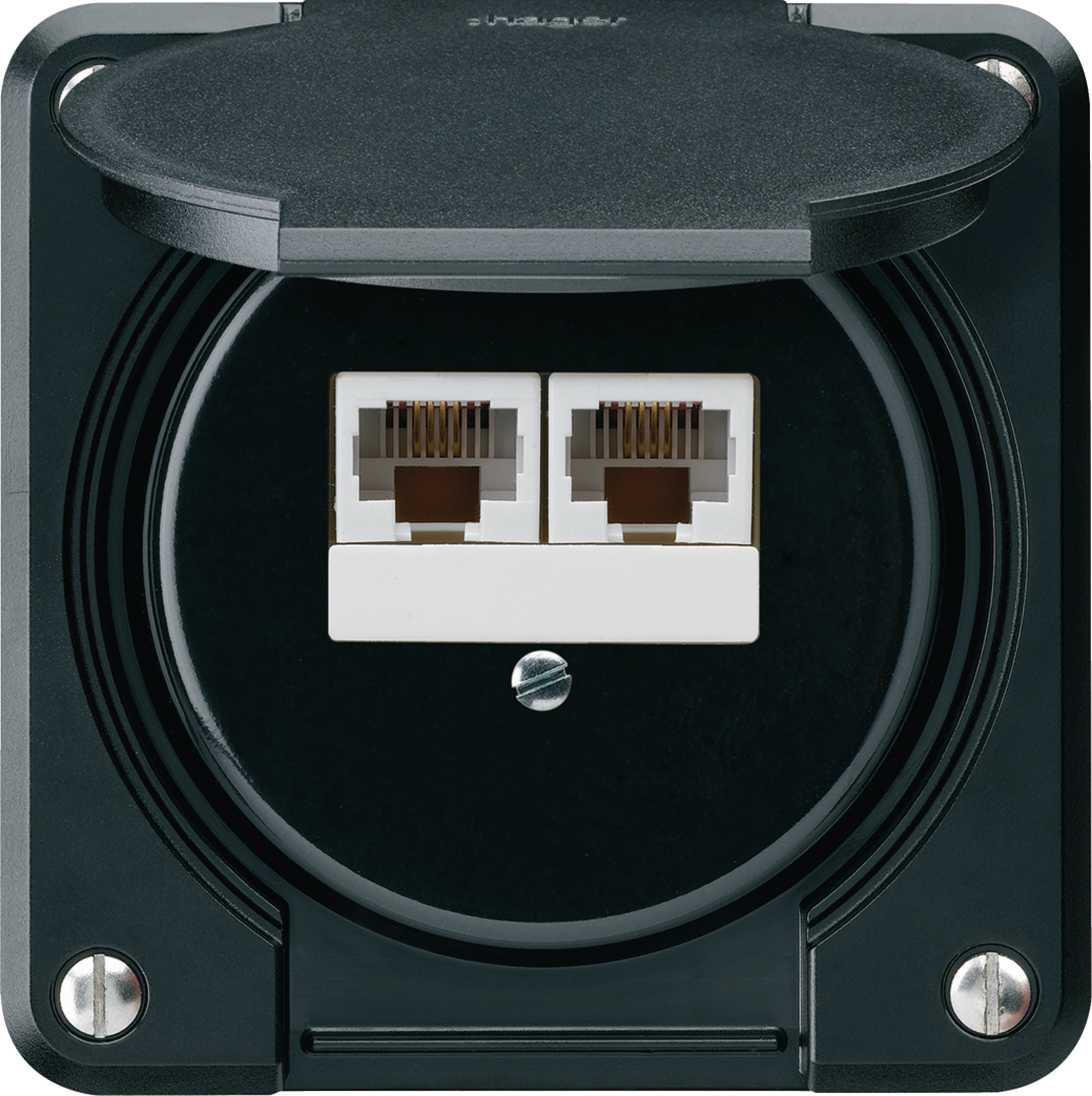 rob. A IP55: 2x RJ45 UTP/getr. 2x4p sw • WH65401205A | Hager