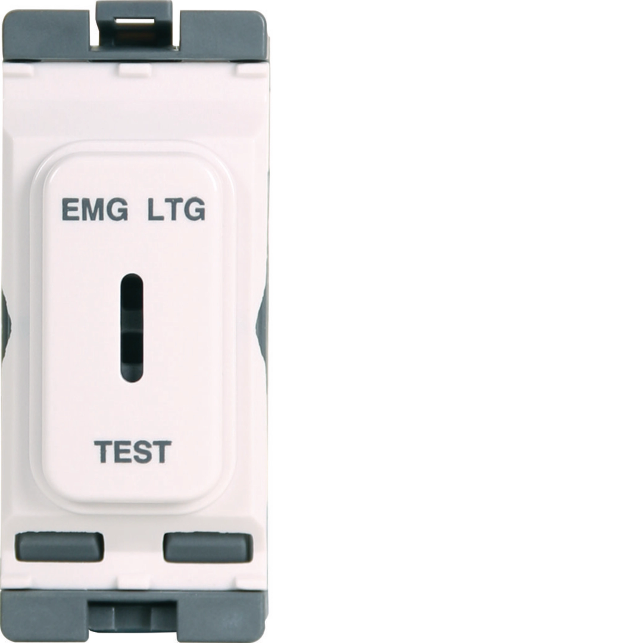 20A DP KEY SWITCH PRINTED 'EMG LTG TEST' • WMGKS/EL | Hager