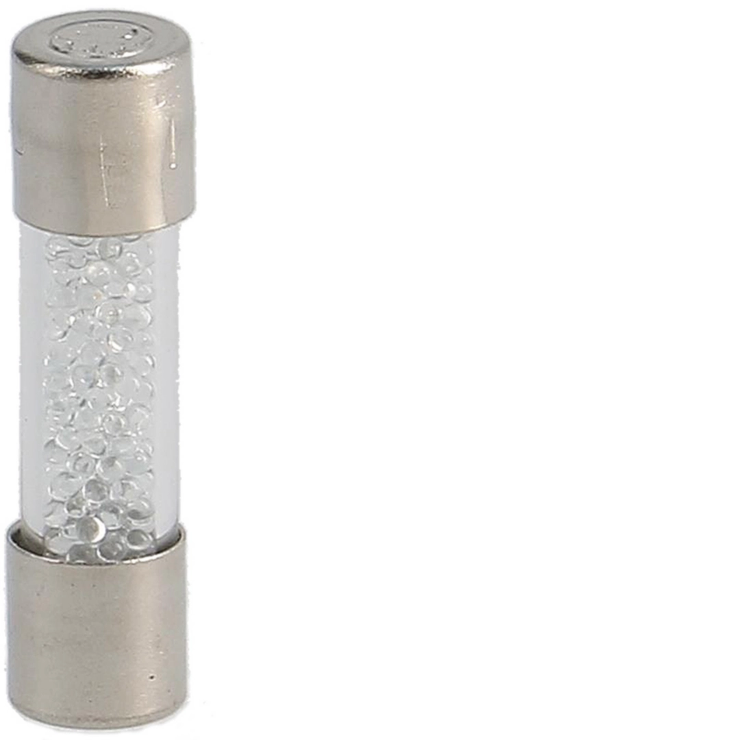 Glaszekering Ø 5 x 20 mm T 4 A 250 V B • L520TG04-000 | Hager